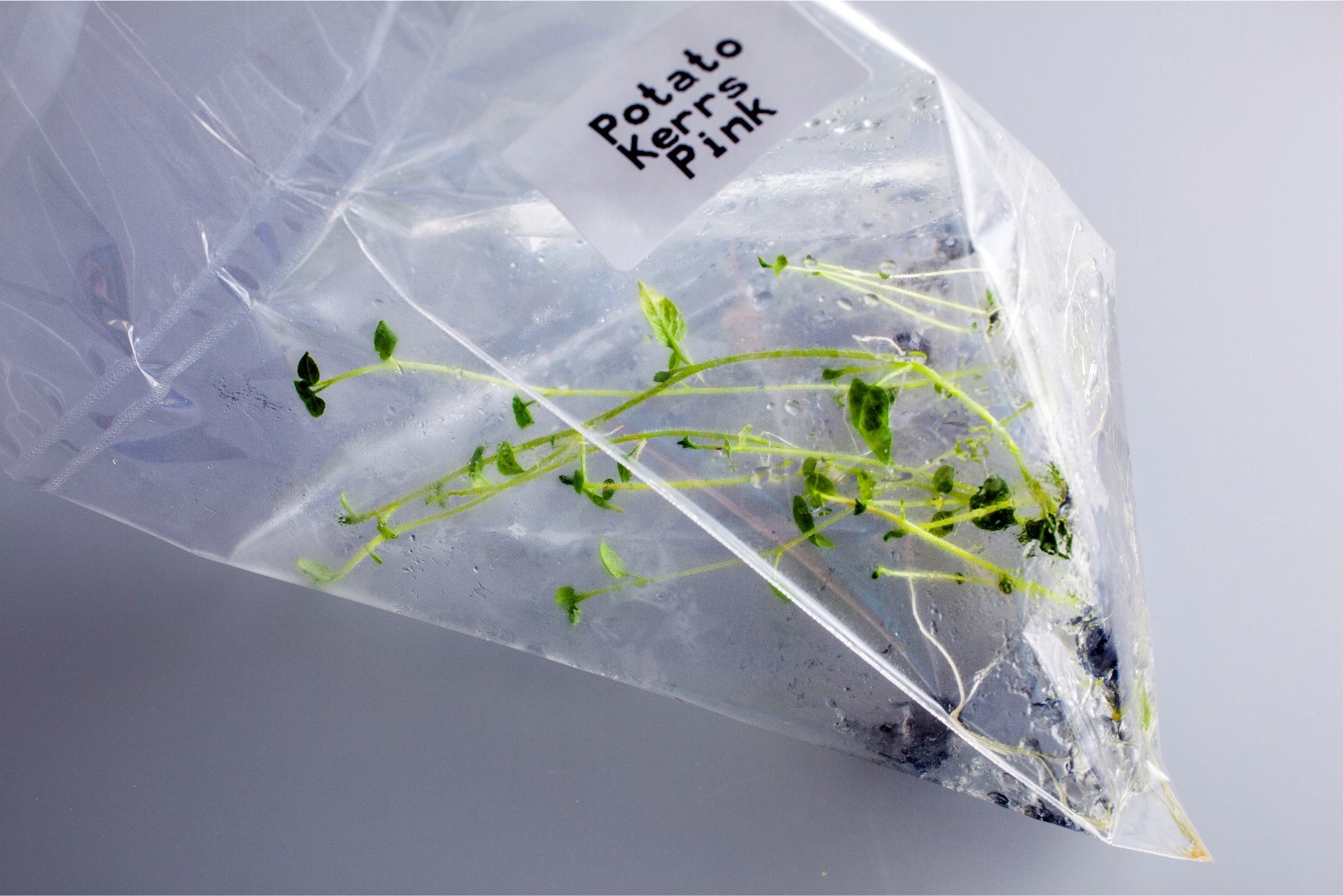 Contact Us - TC Propagation